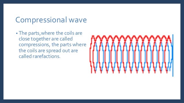 What Are Examples Of Compressional Waves