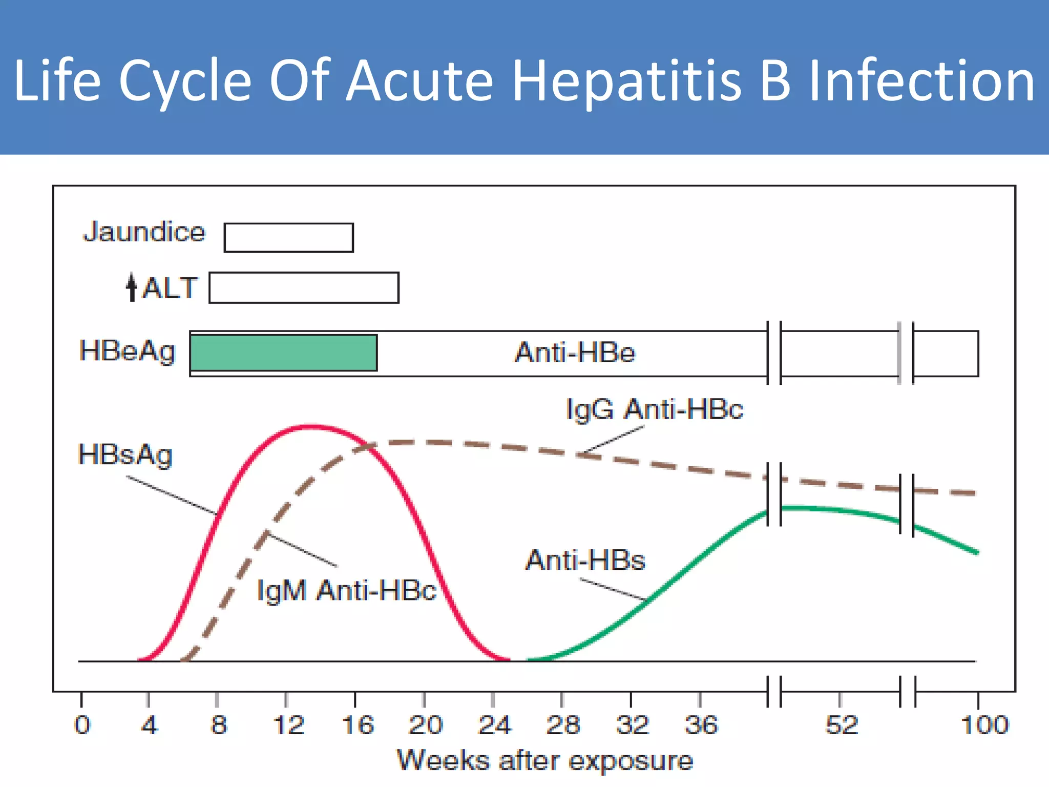 Recent guidelines in the management of chronic hepatitis | PPTX