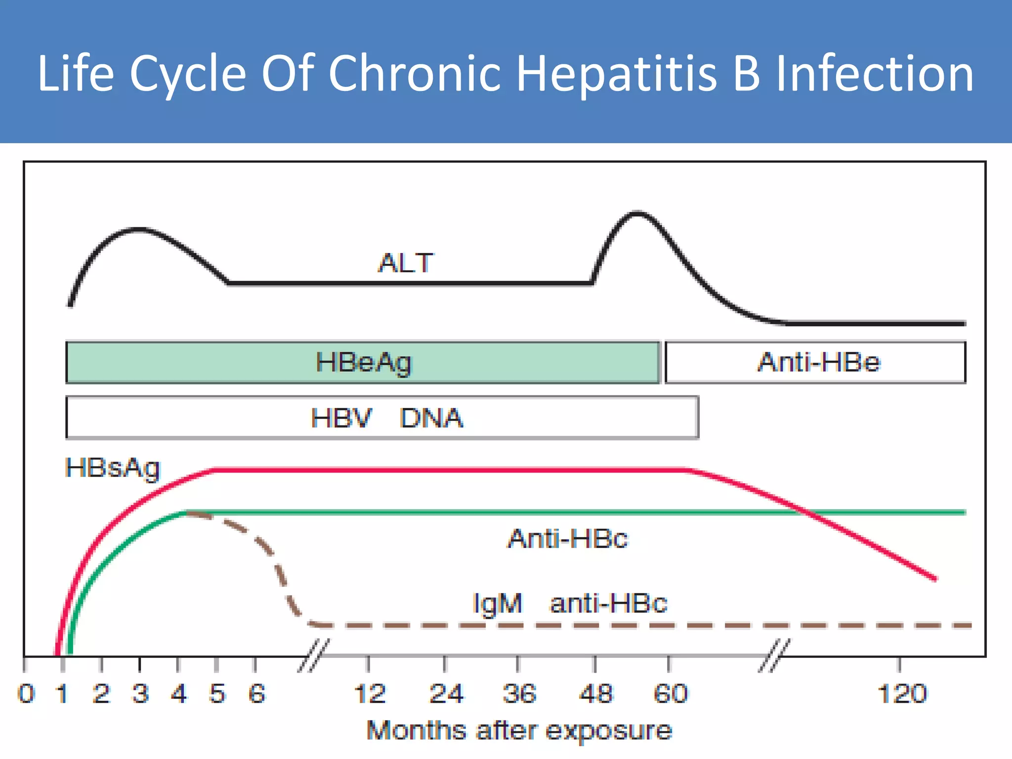 Recent guidelines in the management of chronic hepatitis | PPTX