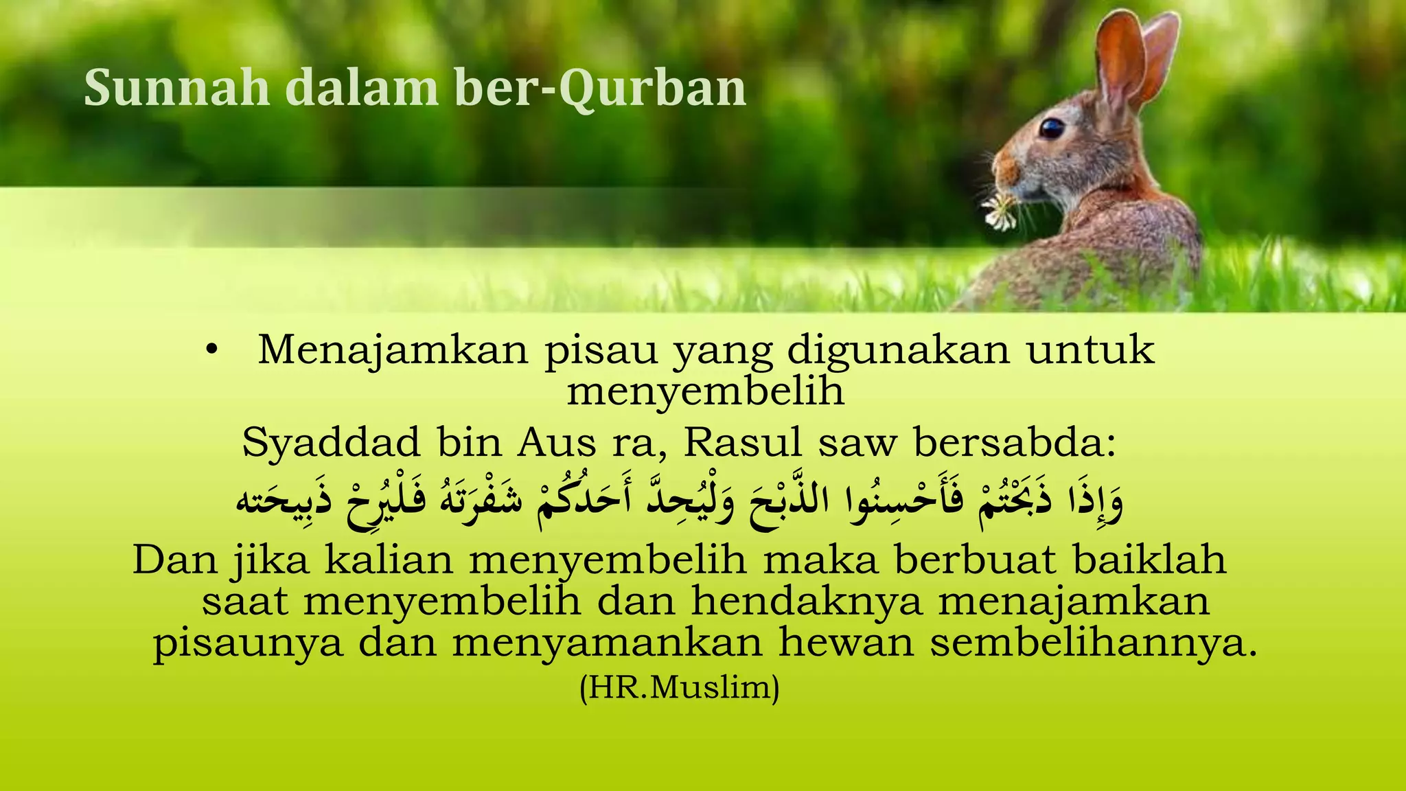 Ibadah qurban | PPTX
