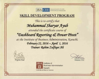 IBA Dashboard Reporting & PowerPivot | PPT