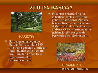 Ibaiertzeko basoa | PPT