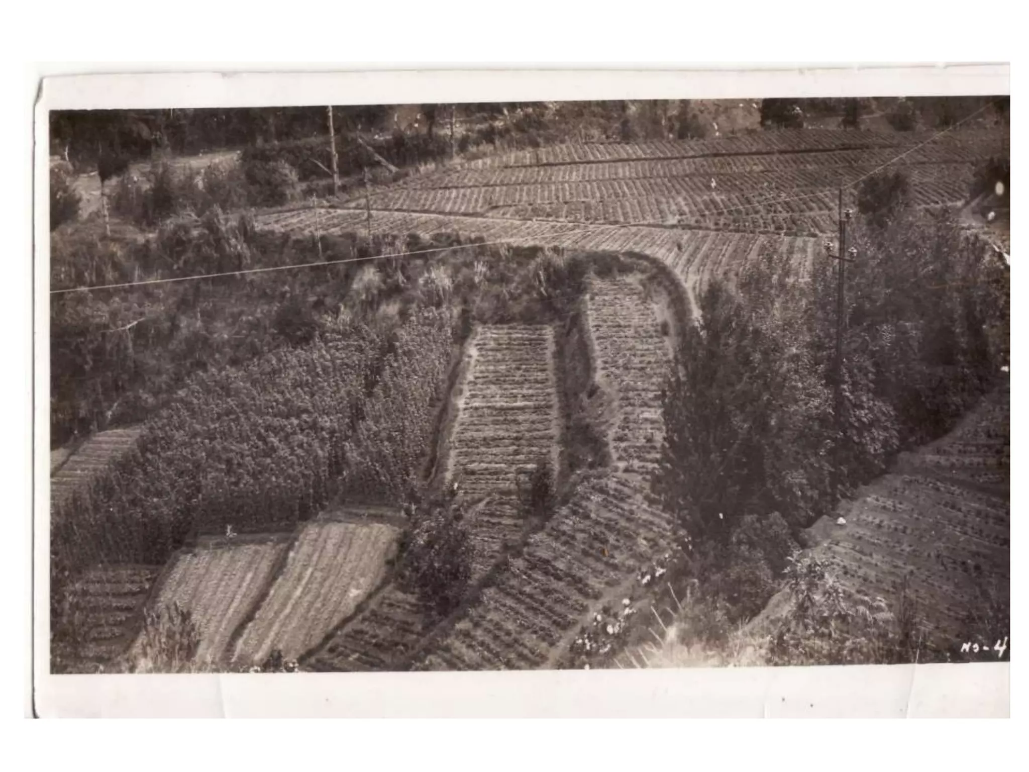 IBALOI: Life & Culture | PPTX | Genealogy and Ancestry | Hobbies ...