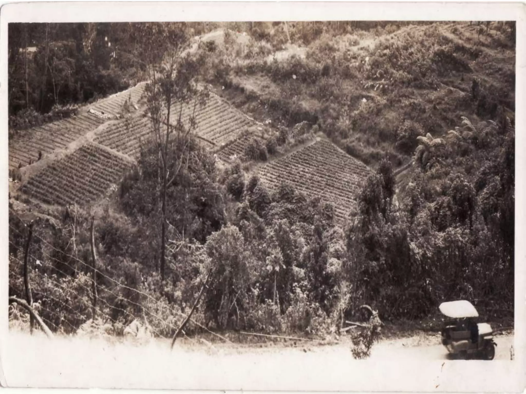 IBALOI: Life & Culture | PPTX