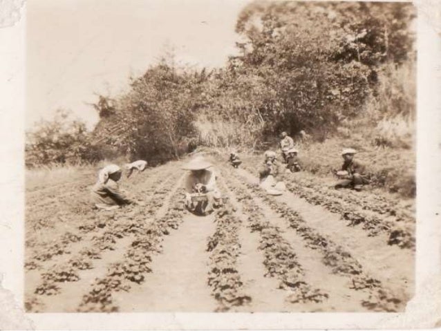 IBALOI: Life & Culture