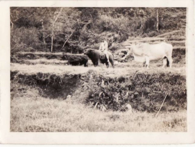 IBALOI: Life & Culture