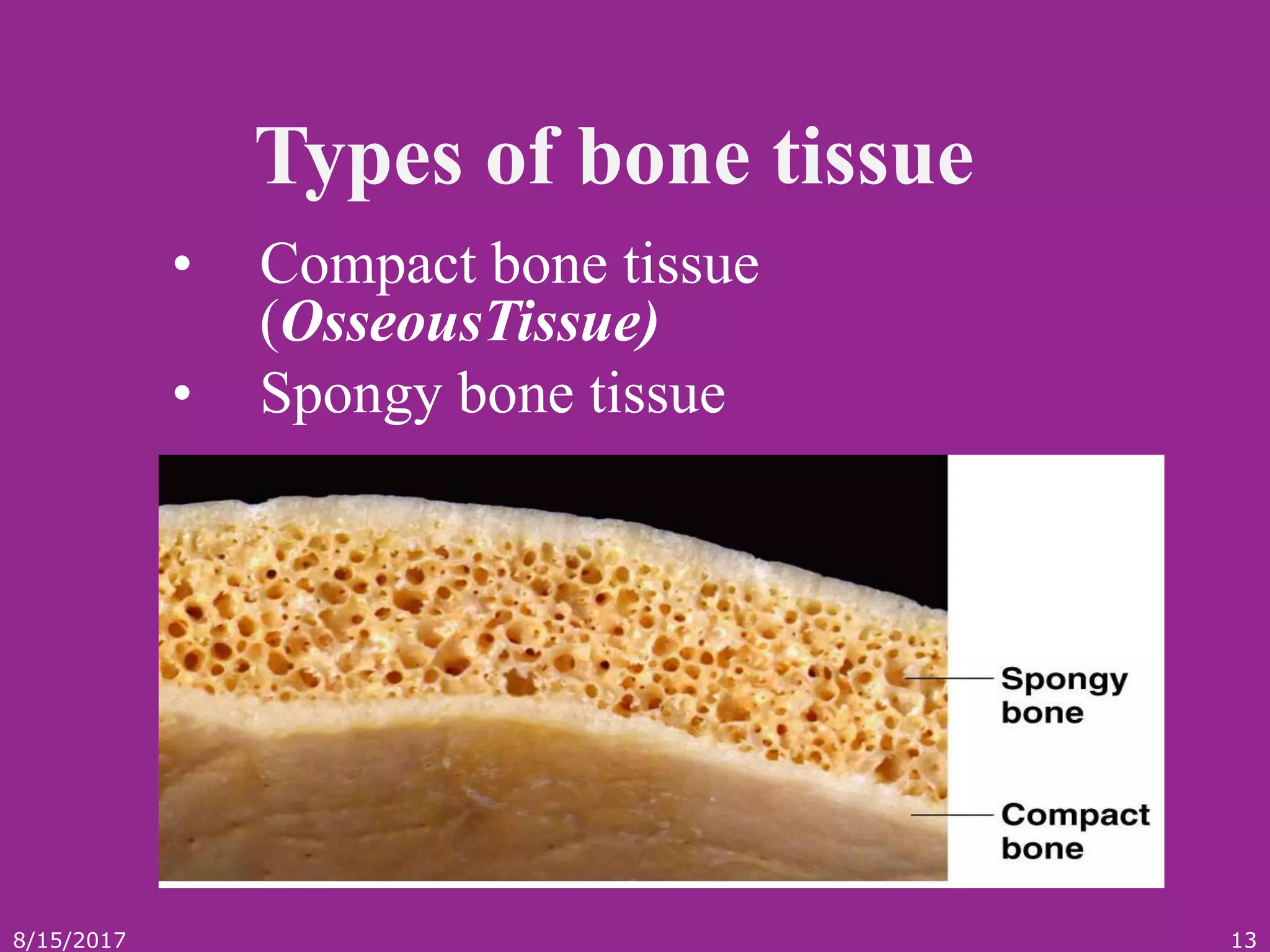 Ibandronate and osteoporosis treatment and bones | PPT