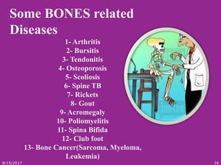 Ibandronate and osteoporosis treatment and bones | PPTX