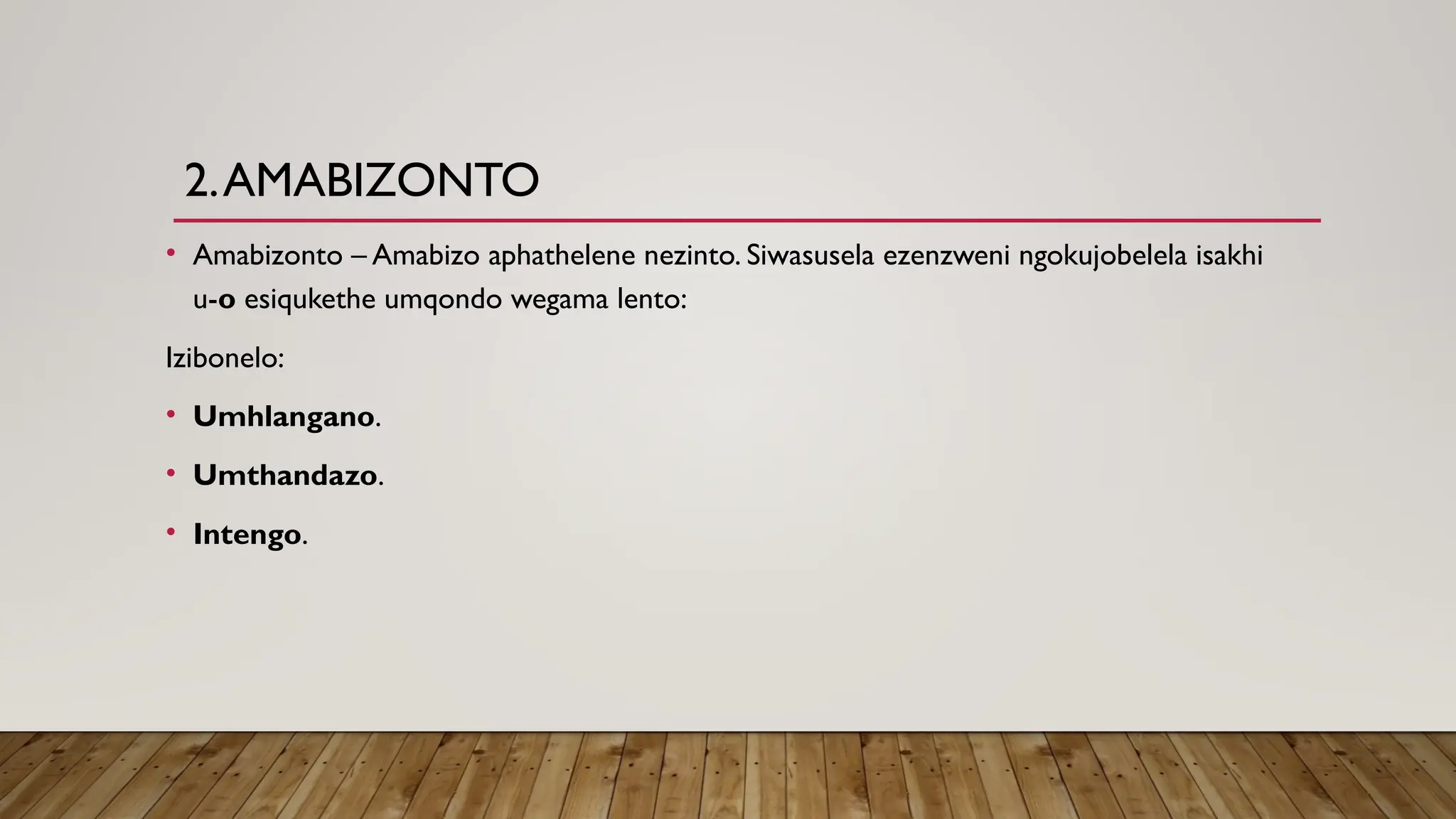 Ibanga 10 (isizulu) Izakhiwo nezimiso zokusetshenziswa kolimi.pptx