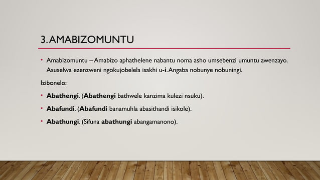 Ibanga 10 (isizulu) Izakhiwo nezimiso zokusetshenziswa kolimi.pptx