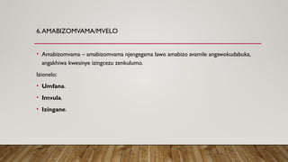 Ibanga 10 (isizulu) Izakhiwo nezimiso zokusetshenziswa kolimi.pptx