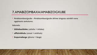Ibanga 10 (isizulu) Izakhiwo nezimiso zokusetshenziswa kolimi.pptx