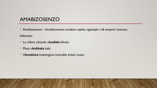 Ibanga 10 (isizulu) Izakhiwo nezimiso zokusetshenziswa kolimi.pptx