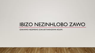 Ibanga 10 (isizulu) Izakhiwo nezimiso zokusetshenziswa kolimi.pptx
