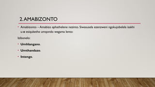 Ibanga 10 (isizulu) Izakhiwo nezimiso zokusetshenziswa kolimi.pptx
