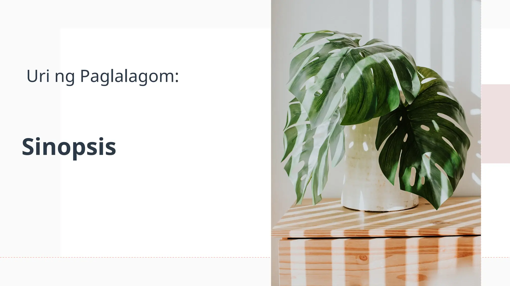 IBAT-IBANG-URI-NG-LAGOM.pptx............ | PPTX