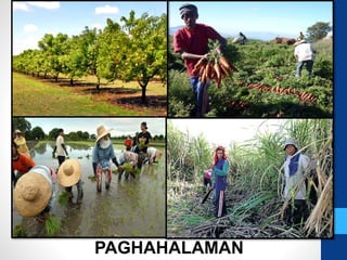 Iba't ibang sektor ng agrikultura | PPTX