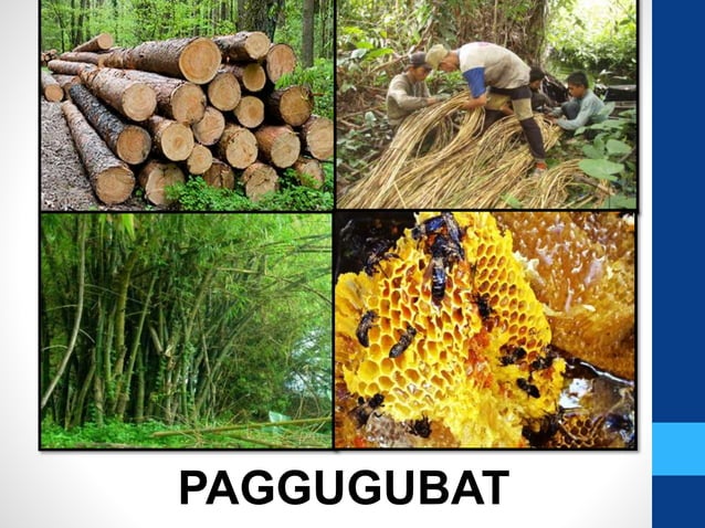 Iba't ibang sektor ng agrikultura | PPT