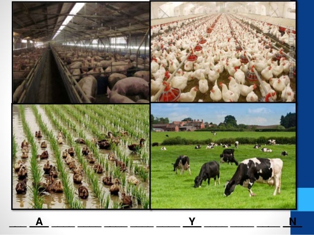 Iba't ibang sektor ng agrikultura