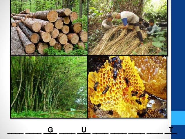 Iba't ibang sektor ng agrikultura