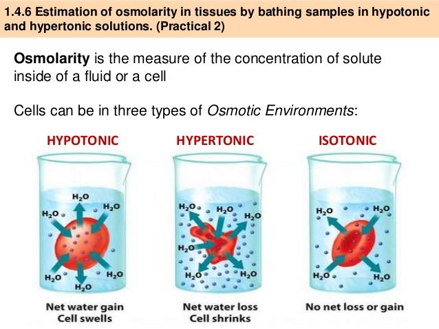 IB Biology 1.4 Slides: Cell Transport