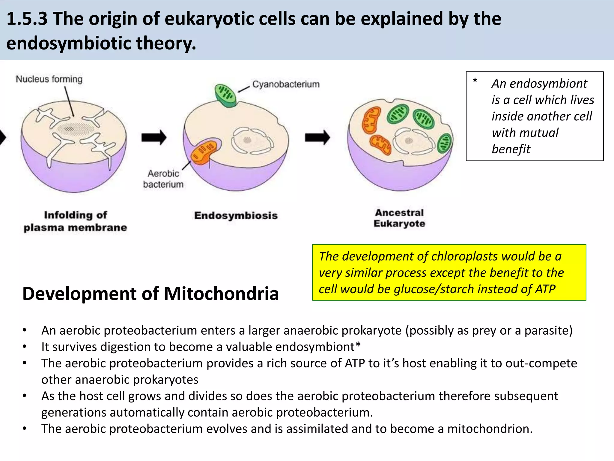 IB Biology 1.5 Slides: Origins of Cells | PPTX