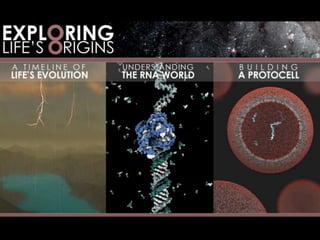 IB Biology 1.5 Slides: Origins of Cells | PPTX