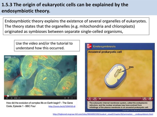 IB Biology 1.5 Slides: Origins of Cells | PPTX