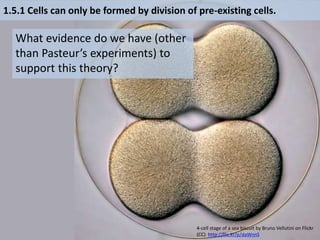 IB Biology 1.5 Slides: Origins of Cells | PPTX