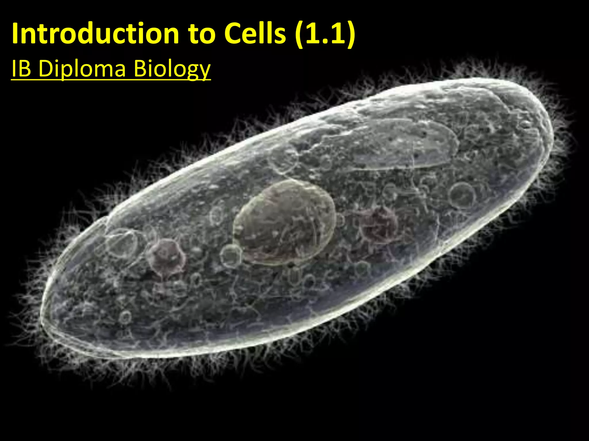 IB Biology 1.1 Slides: Introduction to Cells | PPTX