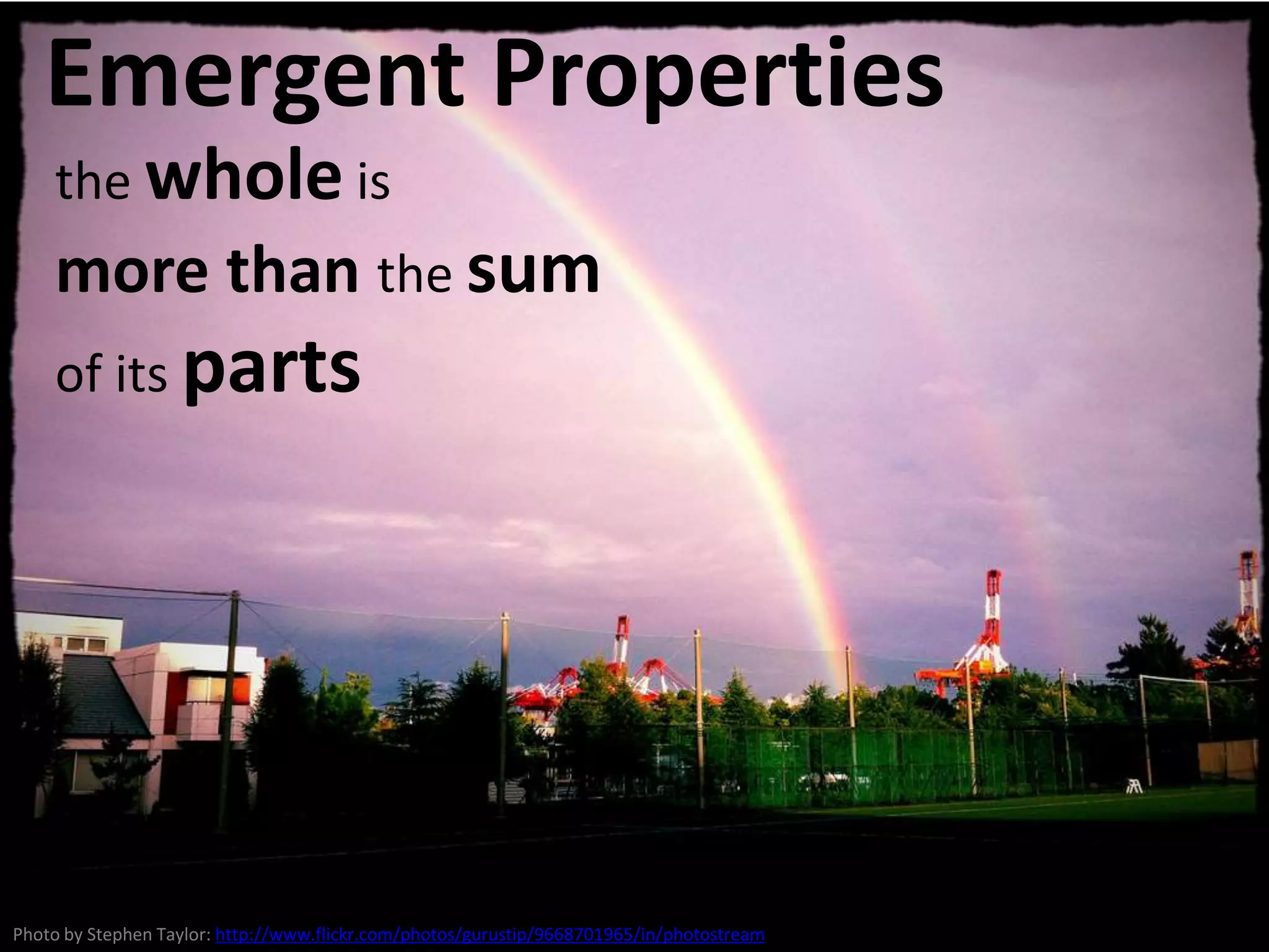 IB Biology 1.1 Slides: Introduction to Cells | PPTX