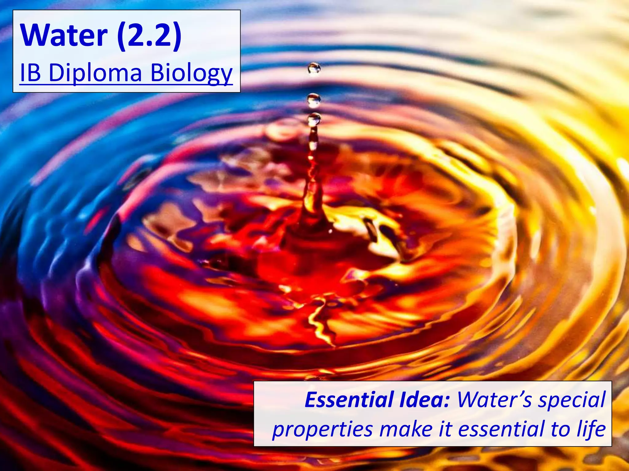 IB Biology 2.2 Slides: Water | PPTX