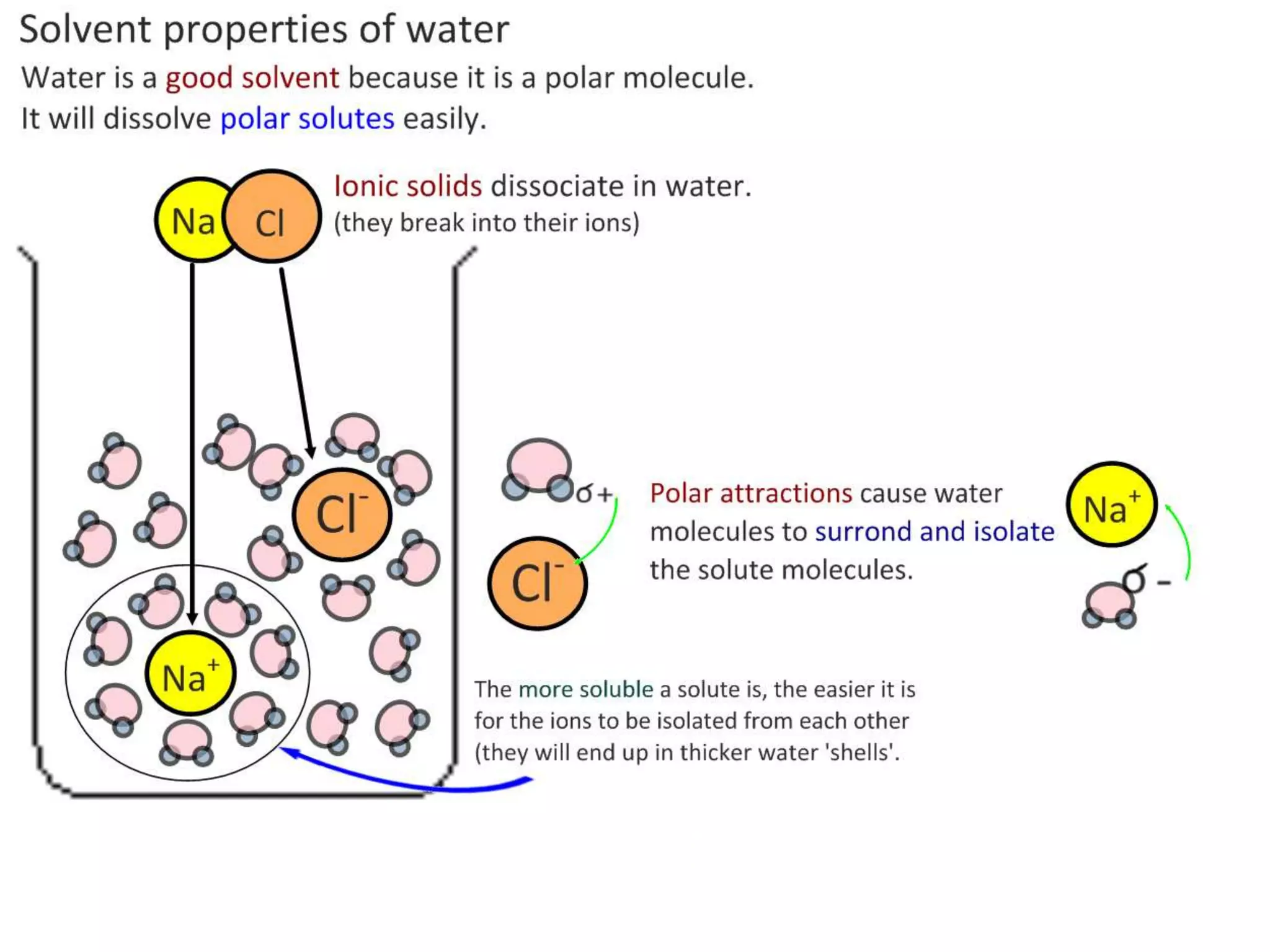 IB Biology 2.2 Slides: Water | PPTX
