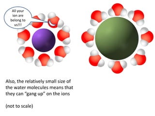 IB Biology 2.2 Slides: Water | PPTX