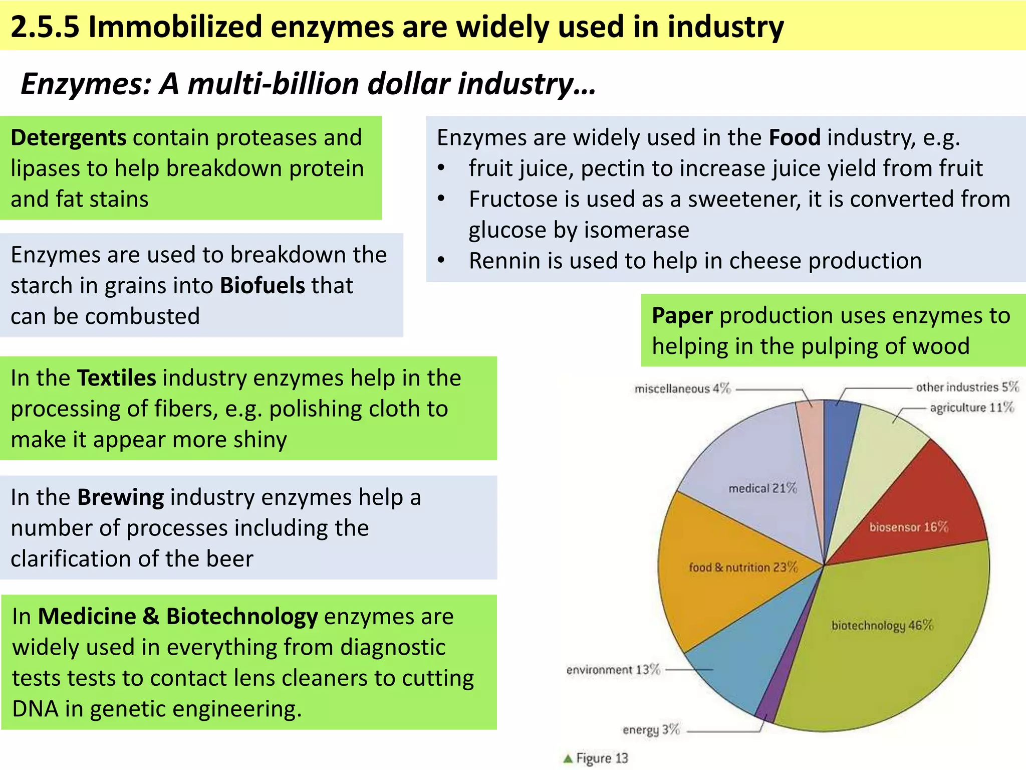 IB Biology 2.5 Slides: Enzymes | PPTX