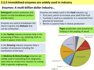 IB Biology 2.5 Slides: Enzymes | PPTX