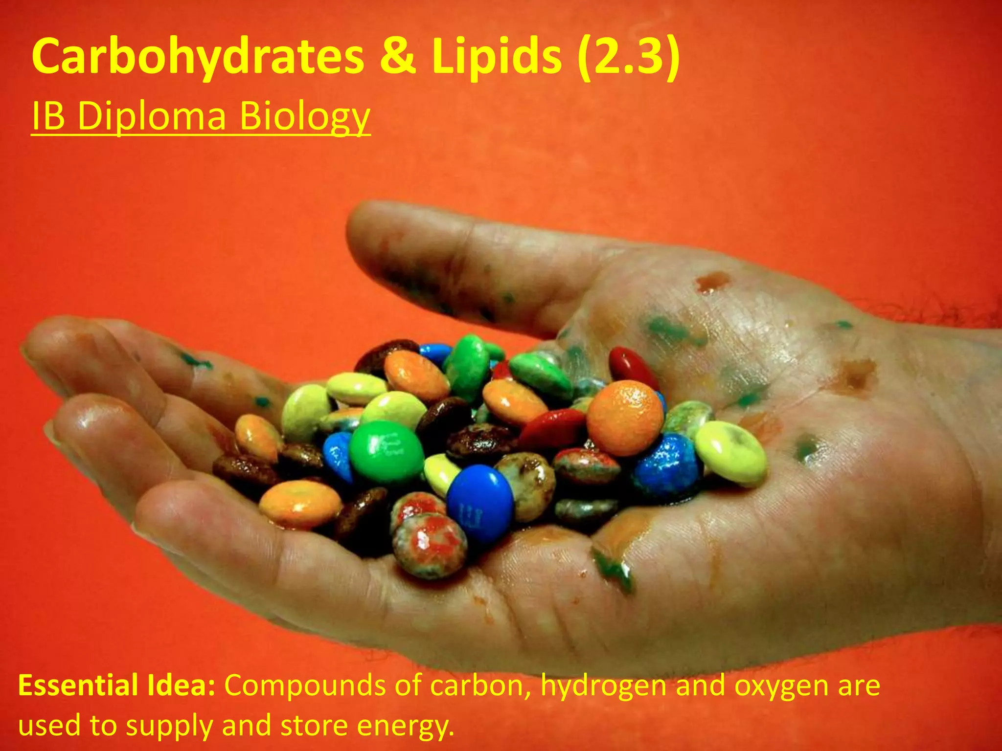 IB Biology 2.3 Slides: Lipids & Carbohydrates | PPTX