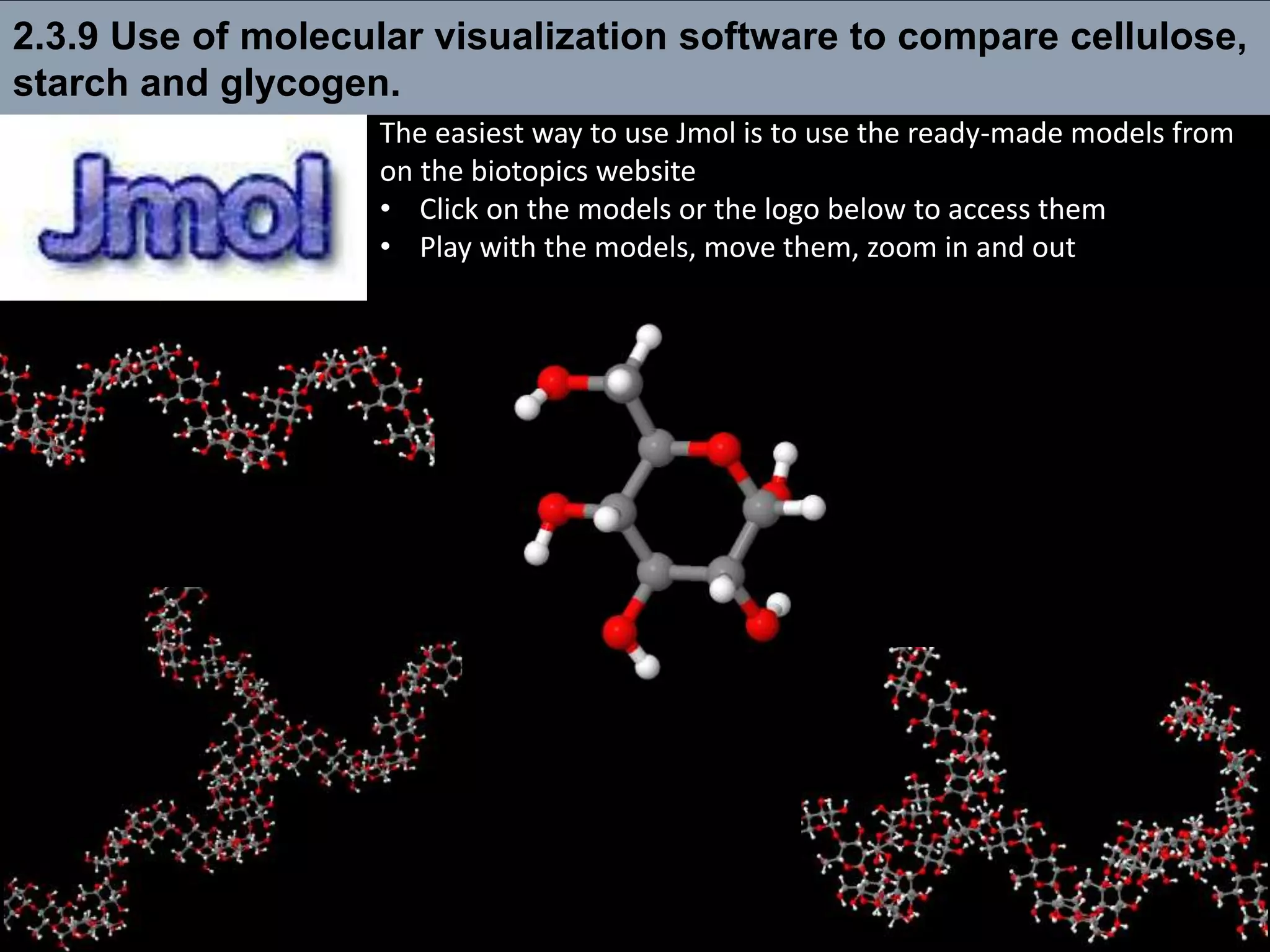 IB Biology 2.3 Slides: Lipids & Carbohydrates | PPTX