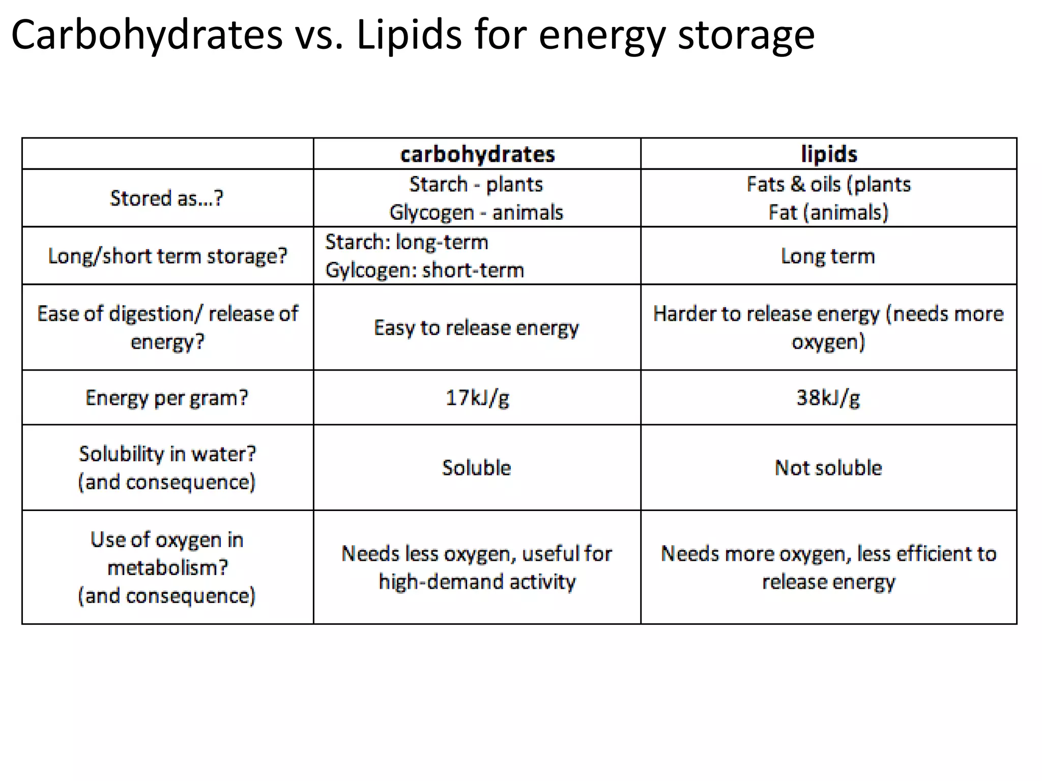 IB Biology 2.3 Slides: Lipids & Carbohydrates | PPTX