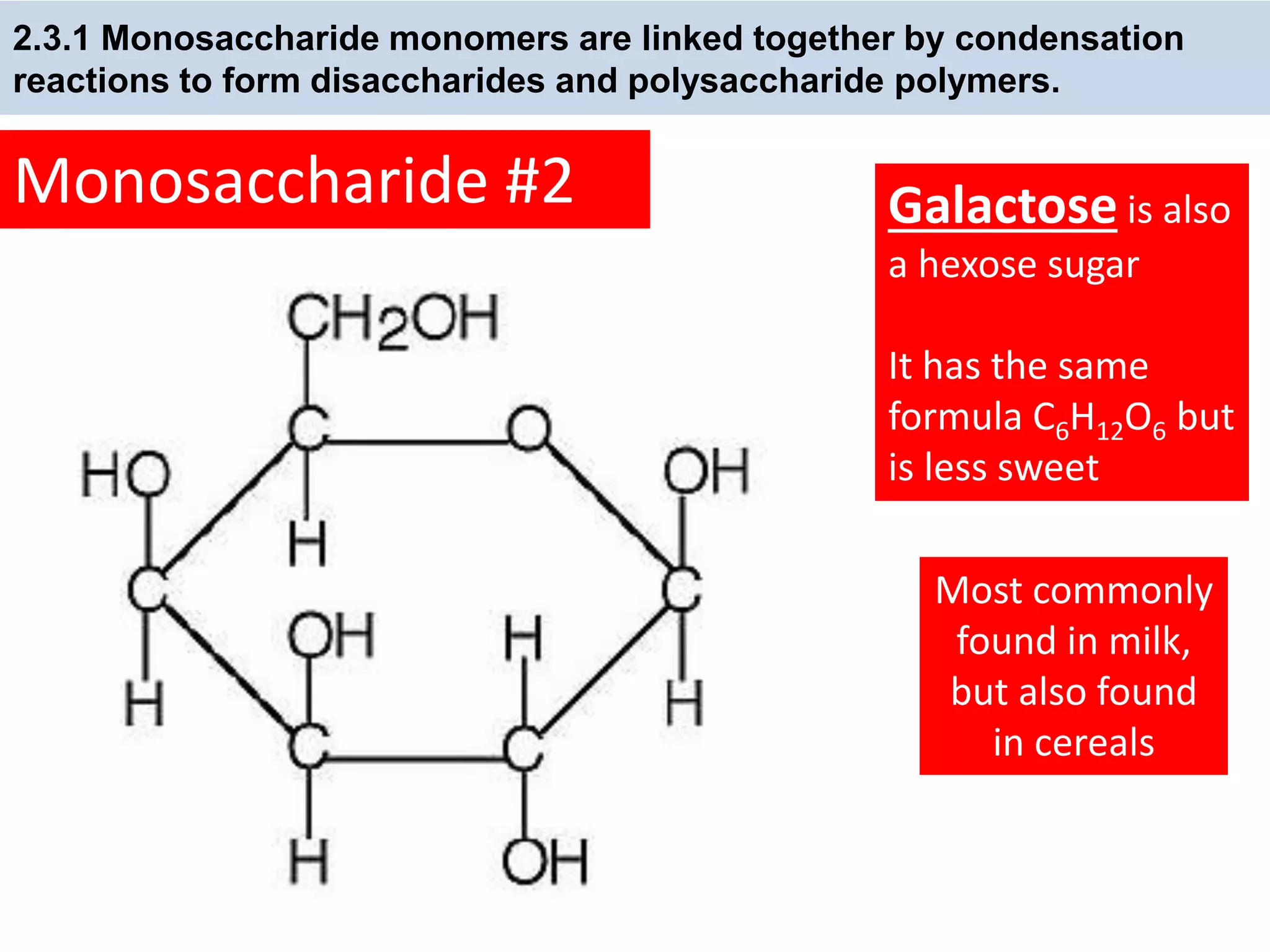 IB Biology 2.3 Slides: Lipids & Carbohydrates | PPTX