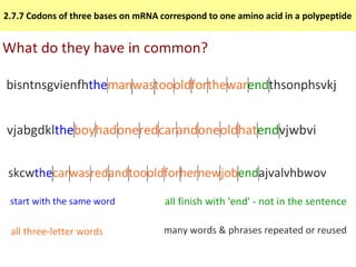 IB Biology 2.7 Slides: Transcription & Translation | PPTX