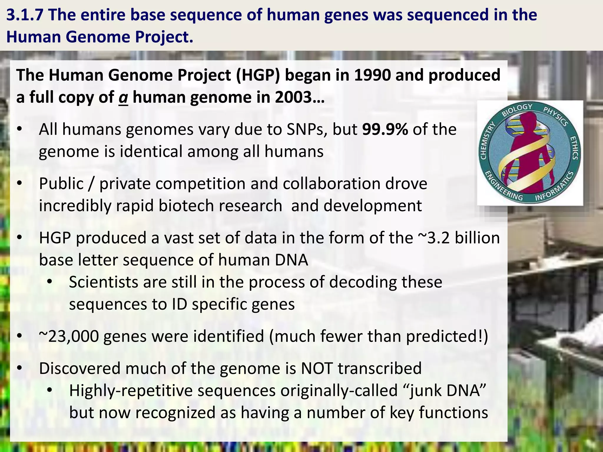 IB Biology 3.1 Slides: Genes | PPTX