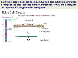 Substitution Biology