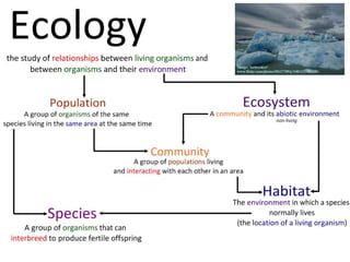Ecosystem Definition Biology