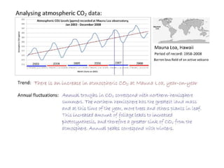 IB Biology 4.3-4.4 Slides: Carbon Cycle & Climate Change | PPTX