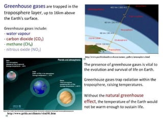 IB Biology 4.3-4.4 Slides: Carbon Cycle & Climate Change | PPTX