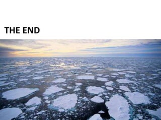 IB Biology 4.3-4.4 Slides: Carbon Cycle & Climate Change | PPTX