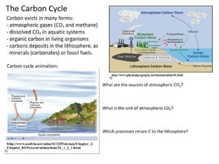 IB Biology 4.3-4.4 Slides: Carbon Cycle & Climate Change | PPTX