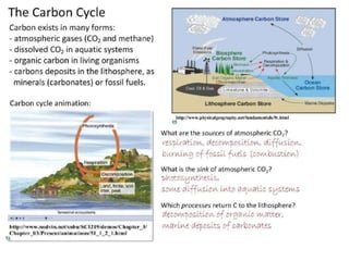 Carbon Cycle Diagram Ib