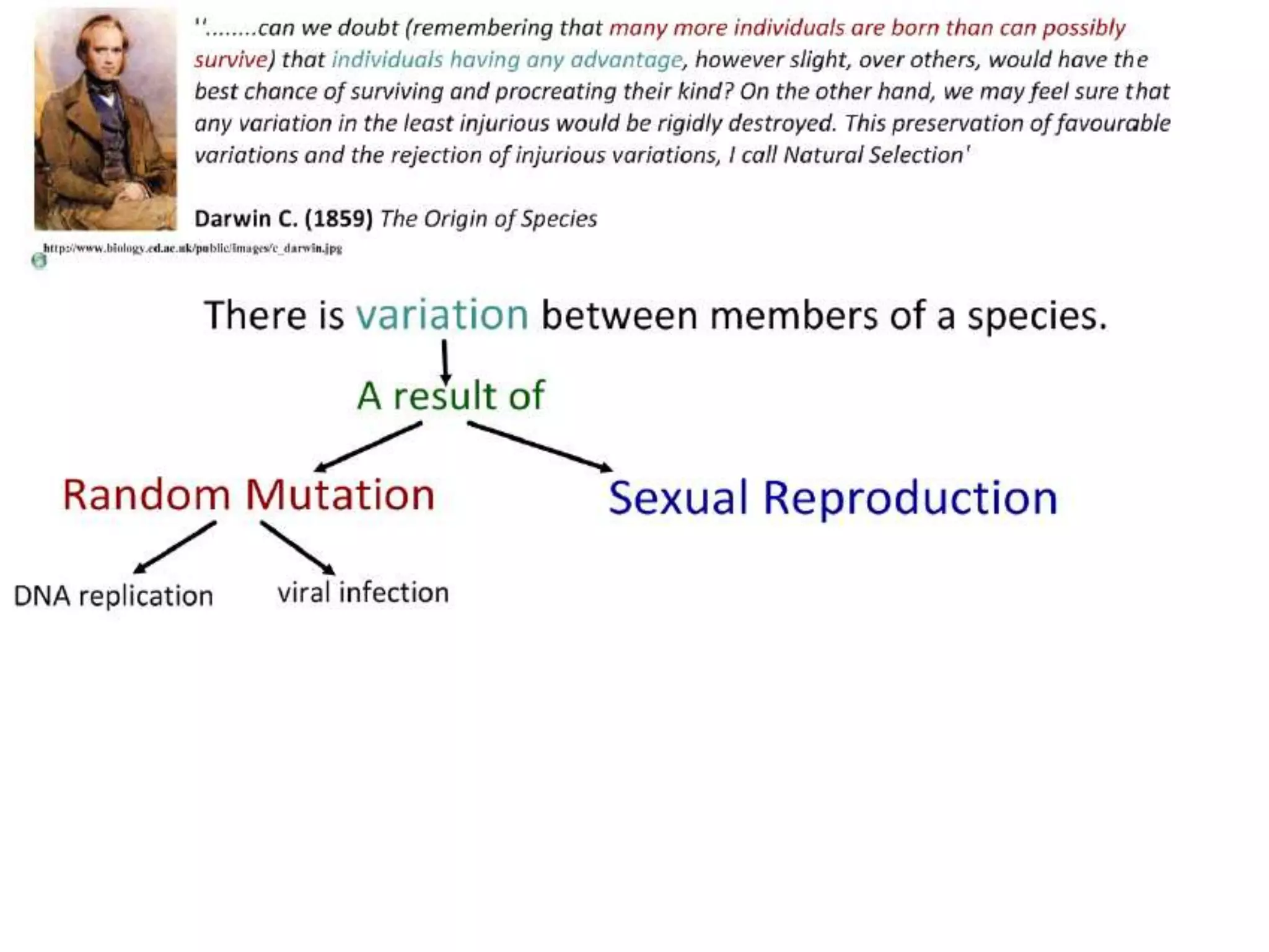 IB Biology 5.1-5.2 Slides: Evolution & Natural Selection | PPTX
